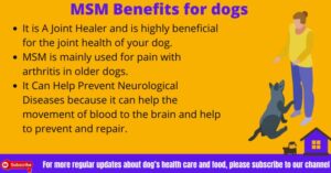 What is MSM for dogs? (Methylsulfonylmethane) Complete Guide