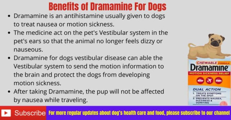 How much Dramamine for dogs? - Dosage for dogs