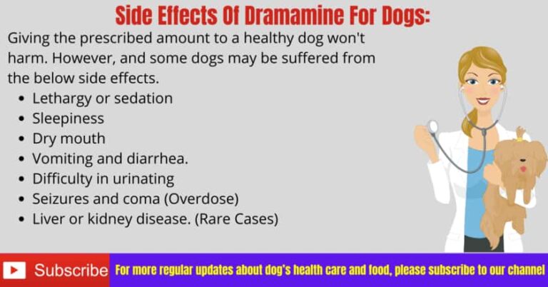 How much Dramamine for dogs? - Dosage for dogs
