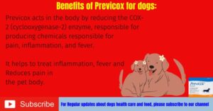 What is previcox for dogs? Previcox dosage for dogs
