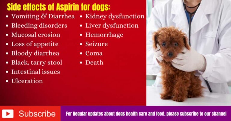 Safe Aspirin dosage for Dogs - Benefits-Side Effects