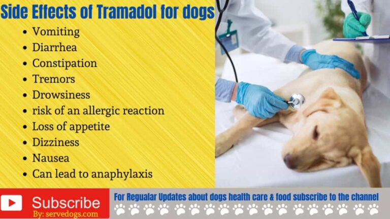 How much Tramadol for dogs? Dosage Chart by weight