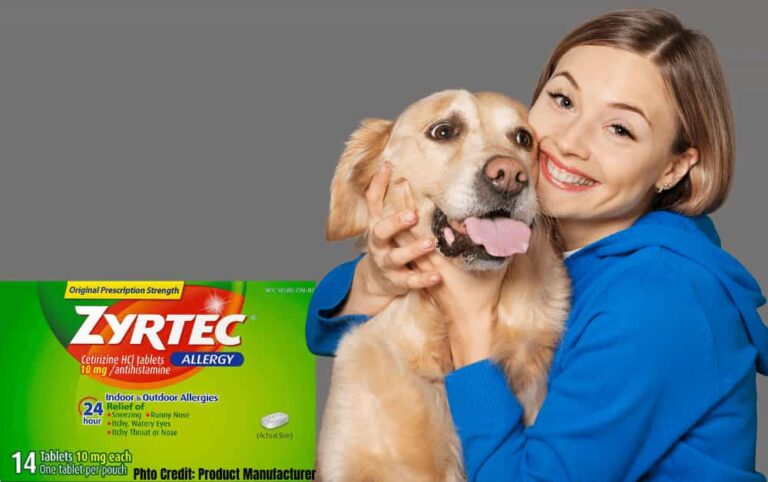 How much Zyrtec for Dogs? Cetirizine Dosage for Dogs - Serve Dogs